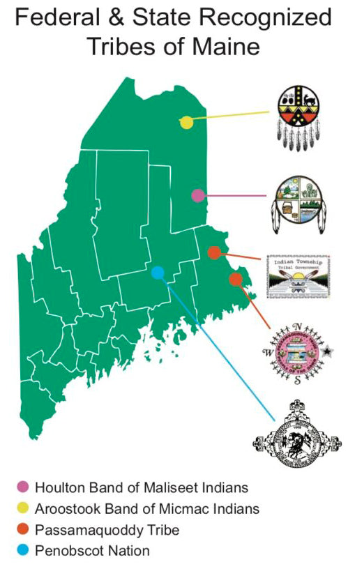 Indigenous Voices – Green Hand Bookshop