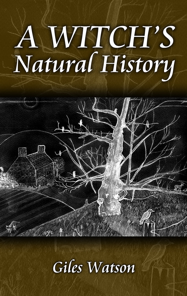 A Witches Natural History by Giles Watson – Green Hand Bookshop